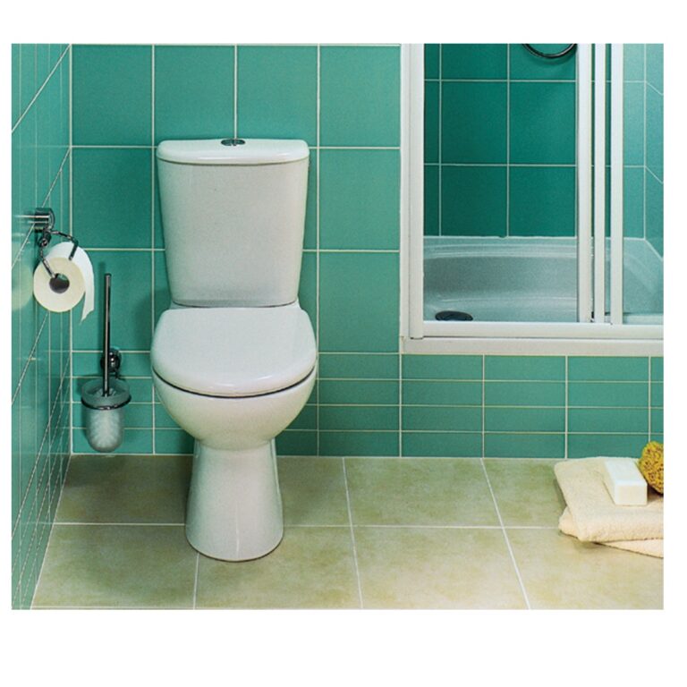 KERAMAG Water Closet Washdown WC, floor standing including ceramic ...